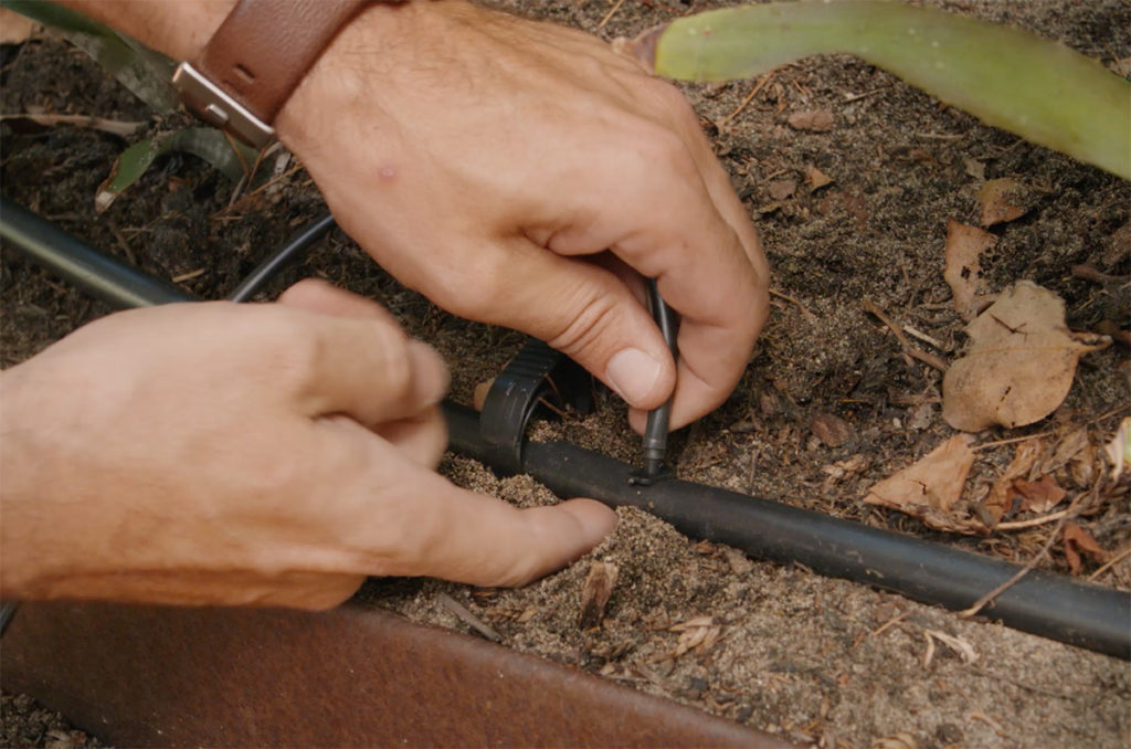 How to convert your sprinkler into a Micro Irrigation System - K-Rain
